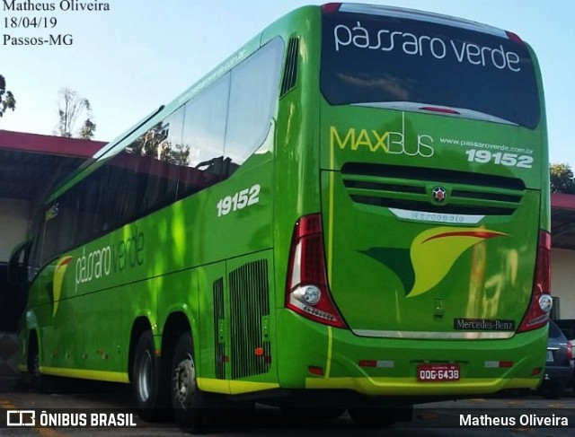 Pássaro Verde 19152 em Passos por Matheus Oliveira - ID:6676244 ...